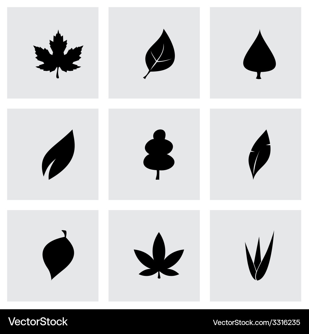 Leaf icon set Royalty Free Vector Image - VectorStock