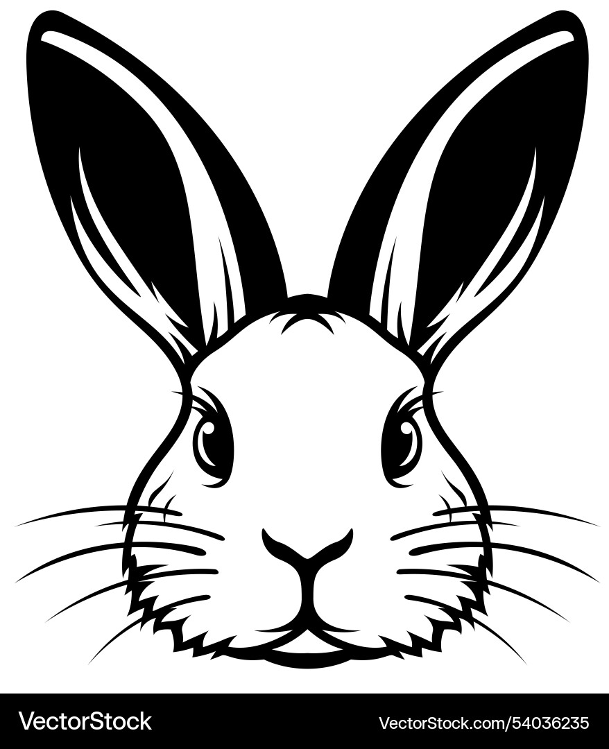 Rabbit Clipart Black And White