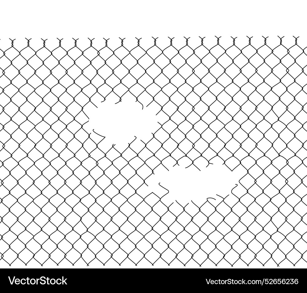 Hole in the mesh wire fence a chain-link Vector Image