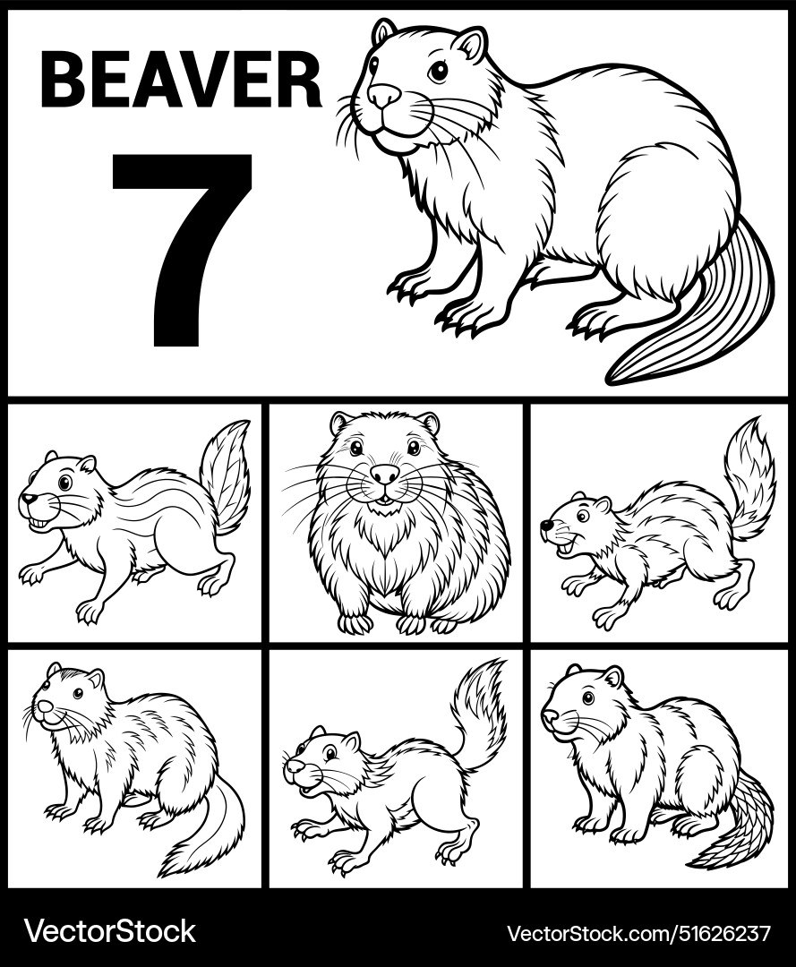 Beaver outline set Royalty Free Vector Image - VectorStock