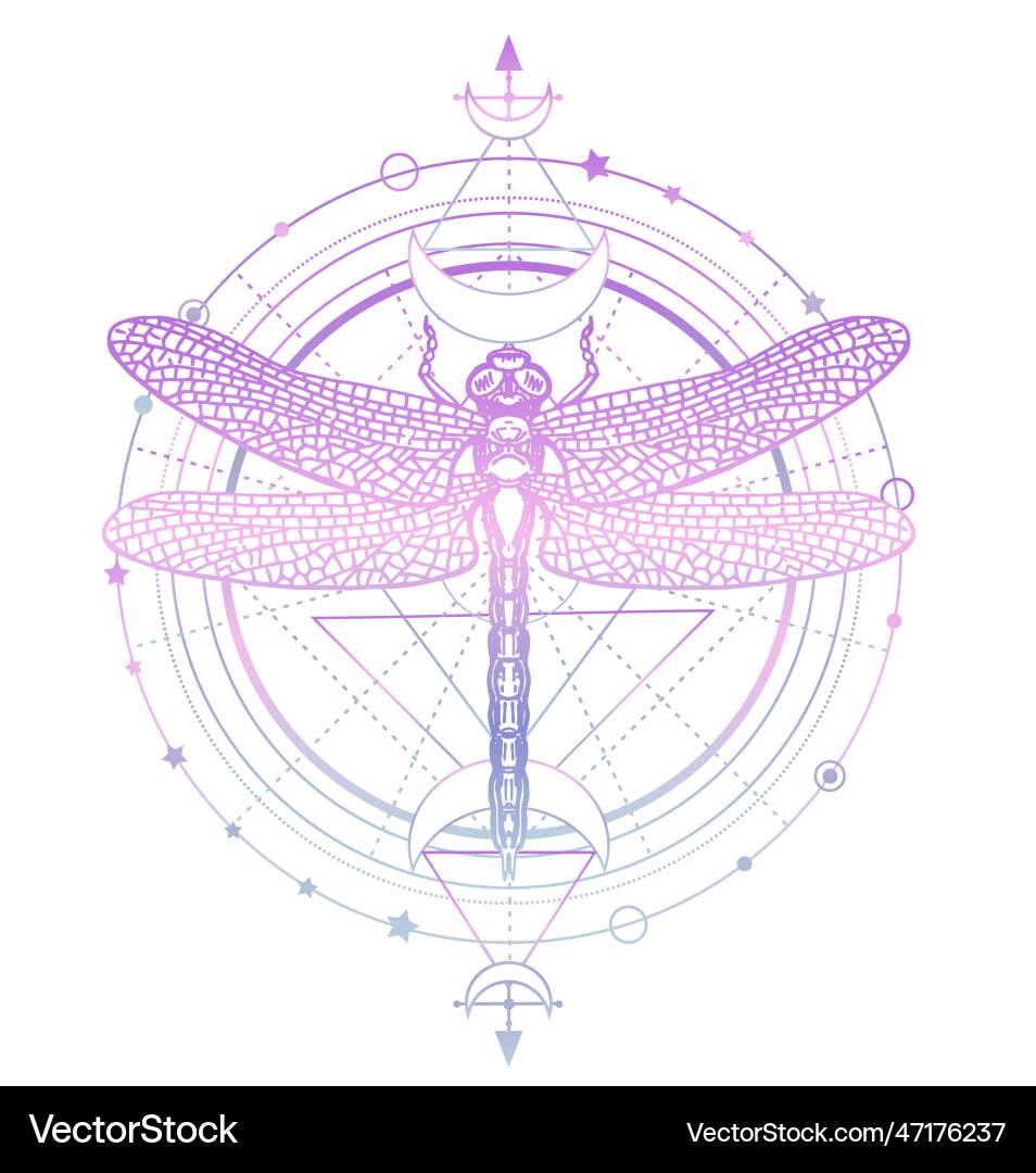 Sacred geometric pattern and hand drawn dragonfly Vector Image