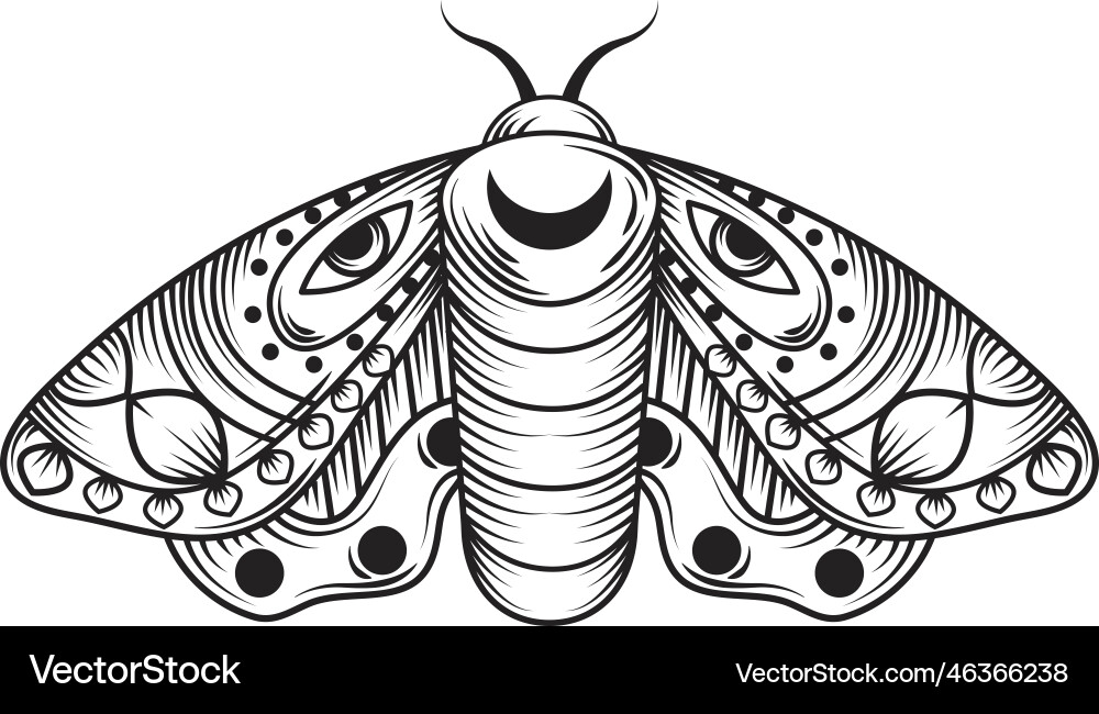 Bug magic alchemy Royalty Free Vector Image - VectorStock