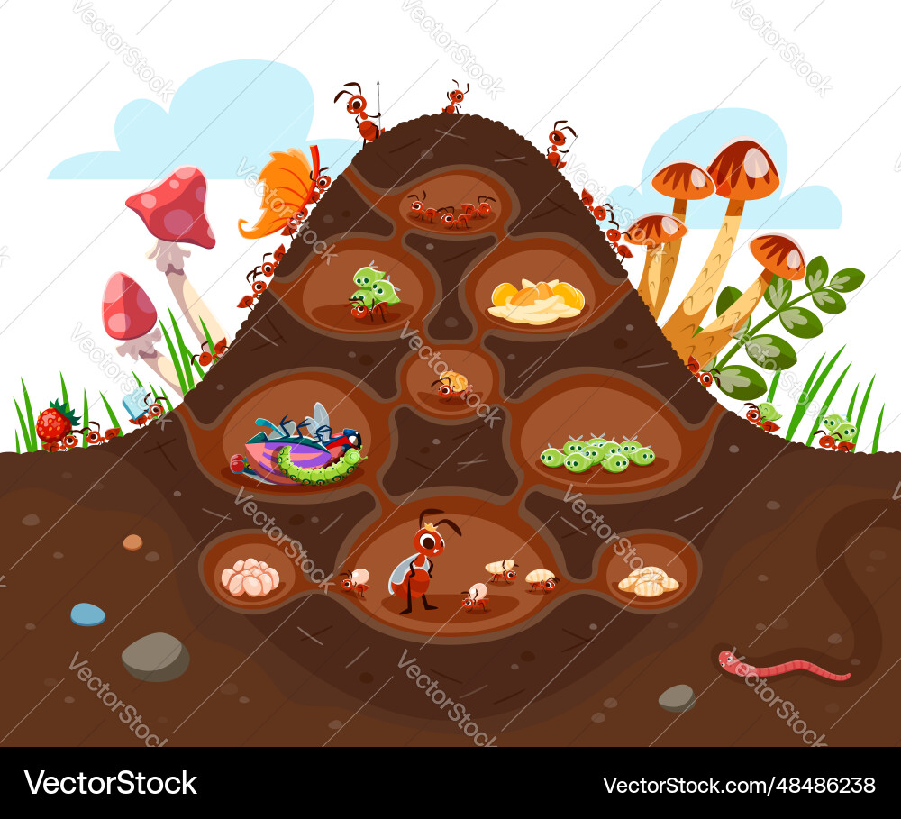 Cartoon Ant Colony in Hill Royalty Free Vector Image
