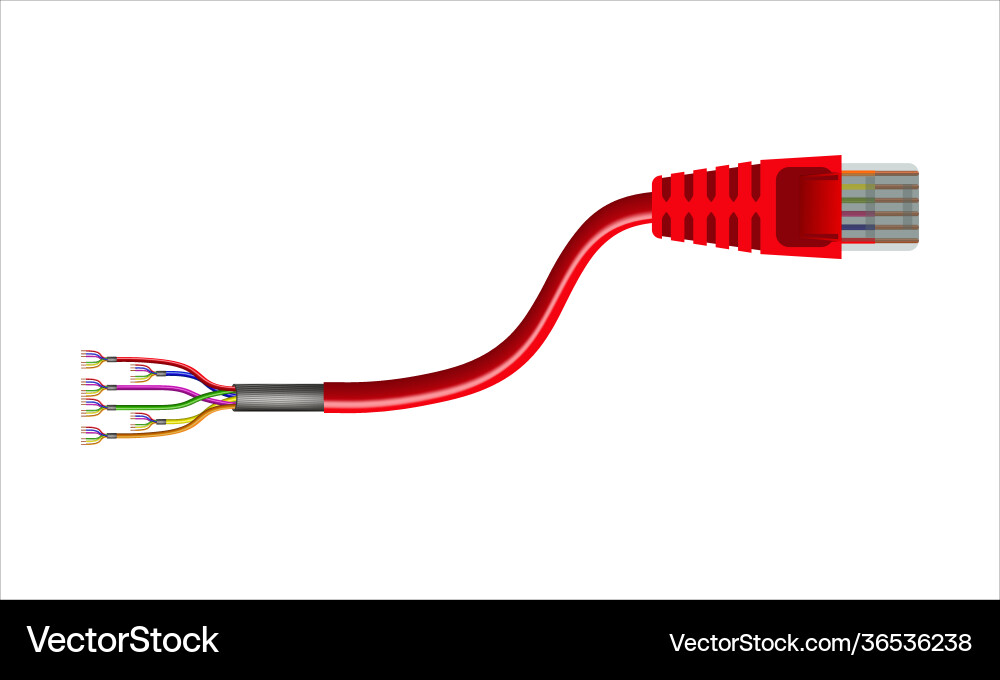 Red cord ethernet cable with connector rj45 Vector Image