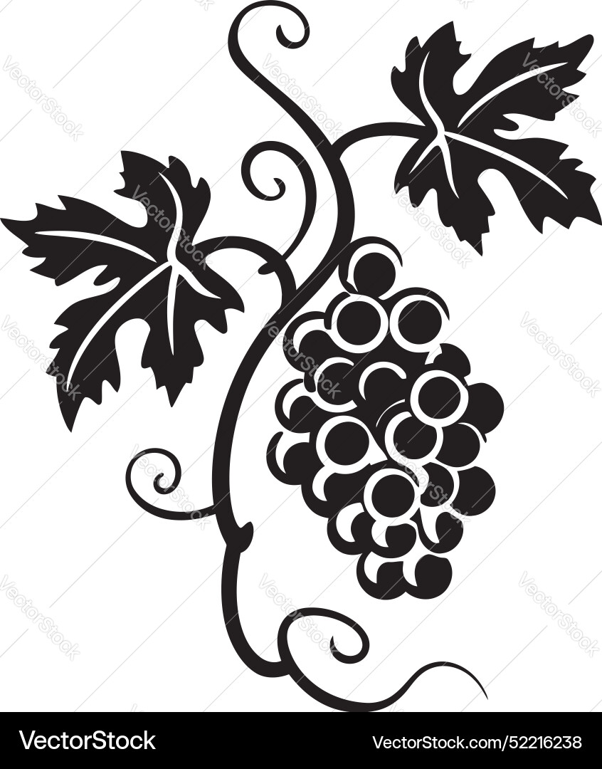 Vineyard fusion grapevine black iconic symbol Vector Image