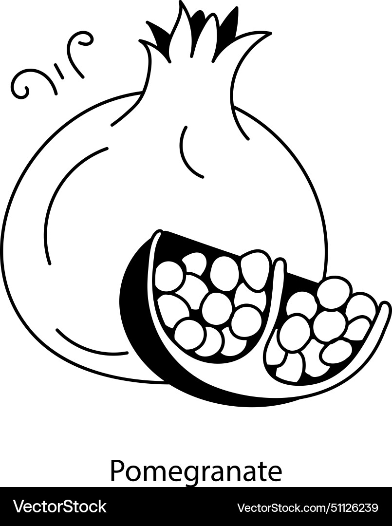 Pomegranate Royalty Free Vector Image - VectorStock