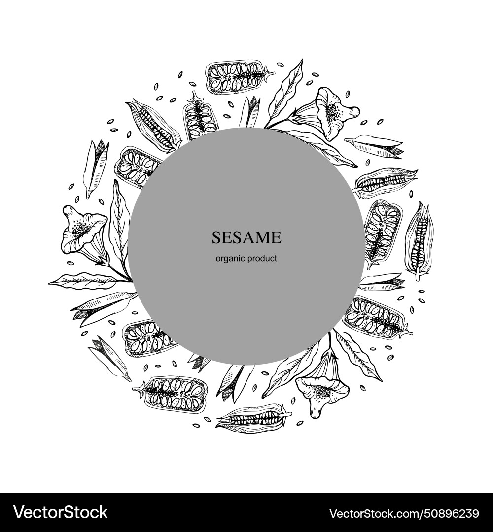 Sesame frame background Royalty Free Vector Image