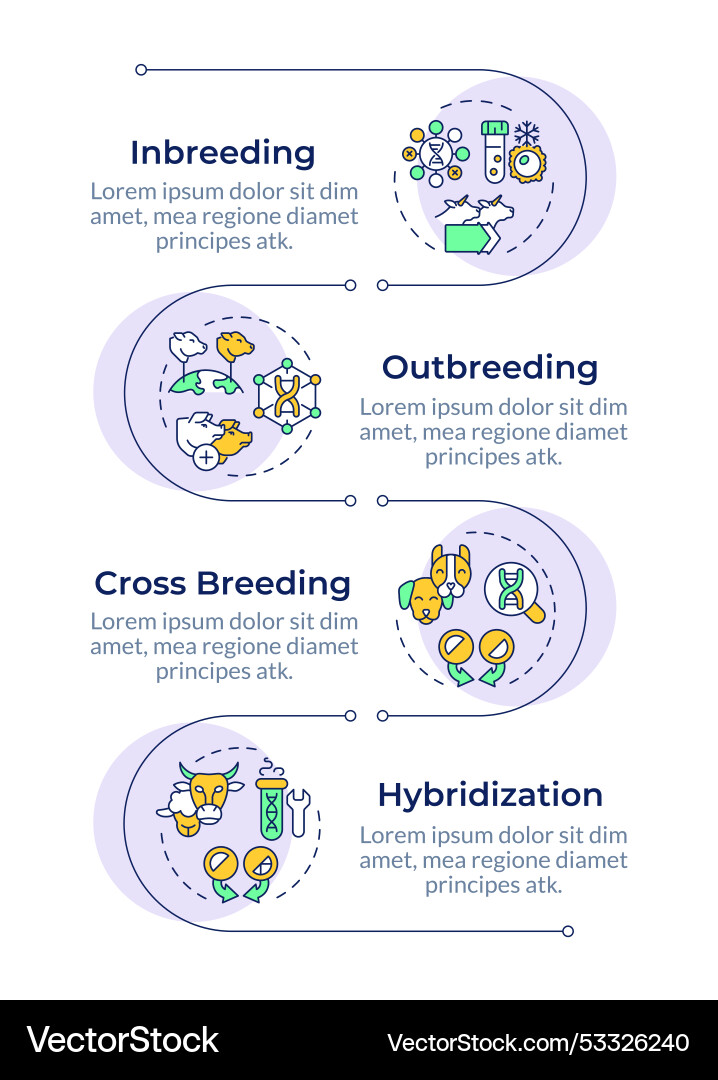 Breeding techniques infographic vertical sequence Vector Image