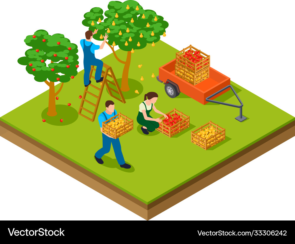 Isometric Farm Harvest Royalty Free Vector Image