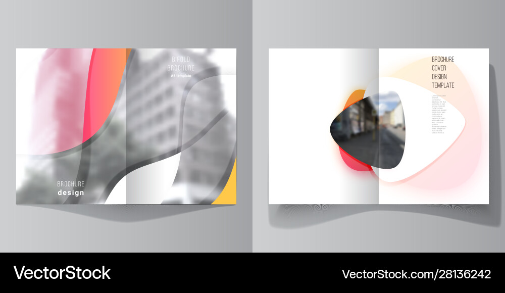 Layout two a4 format modern cover Royalty Free Vector Image