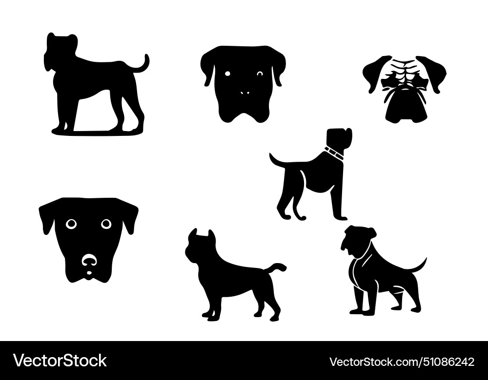 Minimal style boerboel icon design Royalty Free Vector Image
