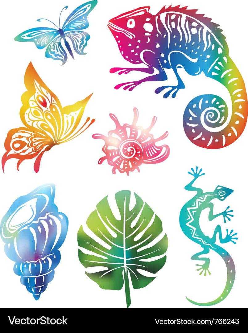 Nature Elements - Floral and Reptile Royalty Free Vector