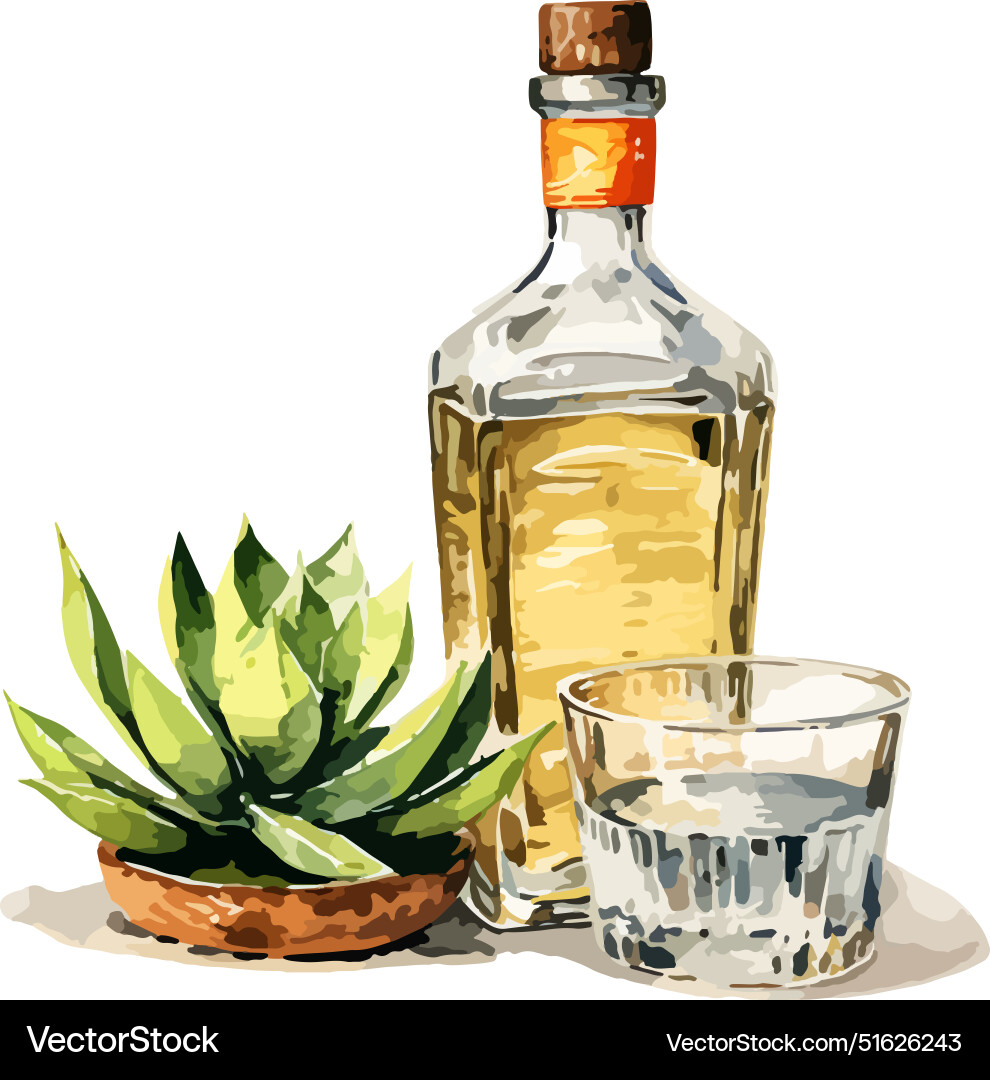 Tequila clipart with isolated Royalty Free Vector Image