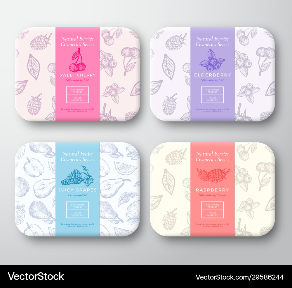 Berry Box Set - Cardboard Labels Royalty Free Vector Image