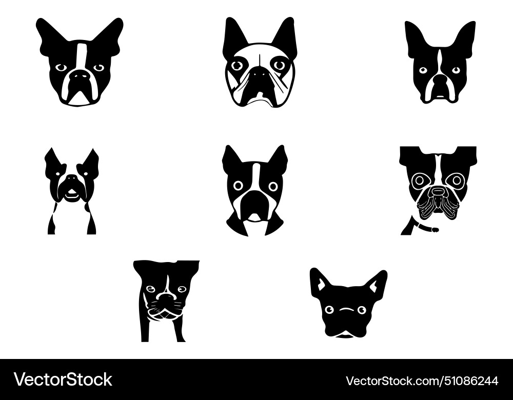 Minimal style boston terrier icon design Vector Image