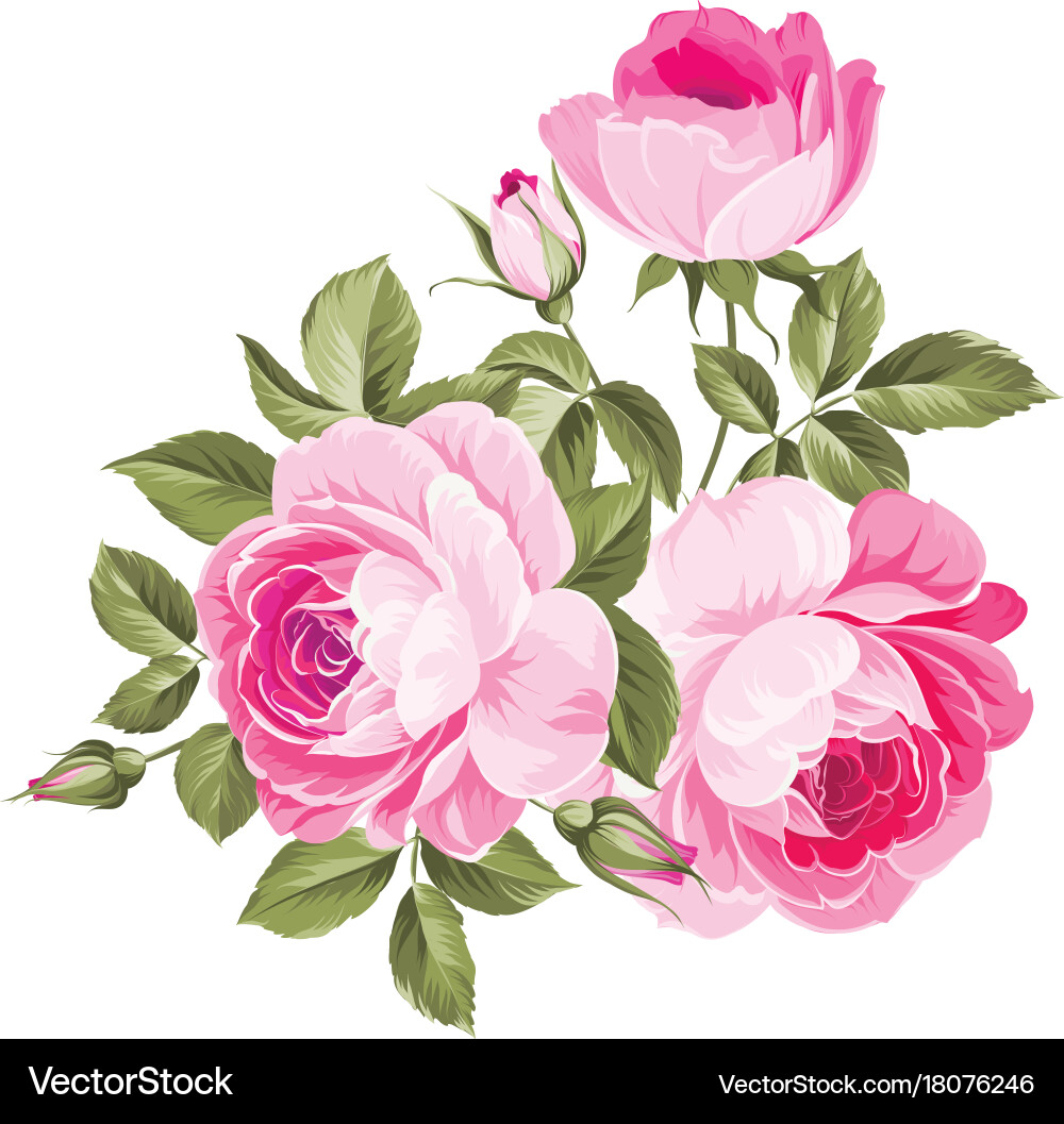 Background with roses Royalty Free Vector Image