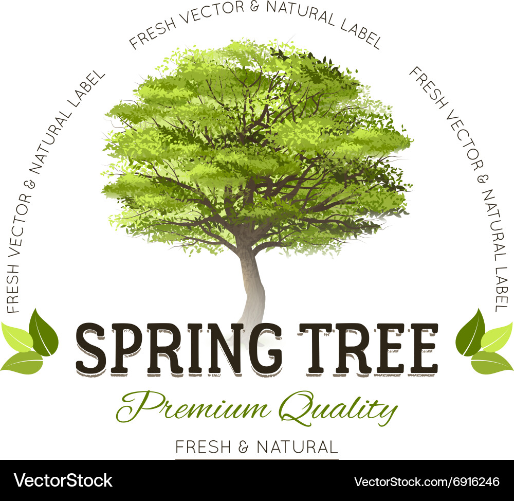 Tree typography logo Royalty Free Vector Image