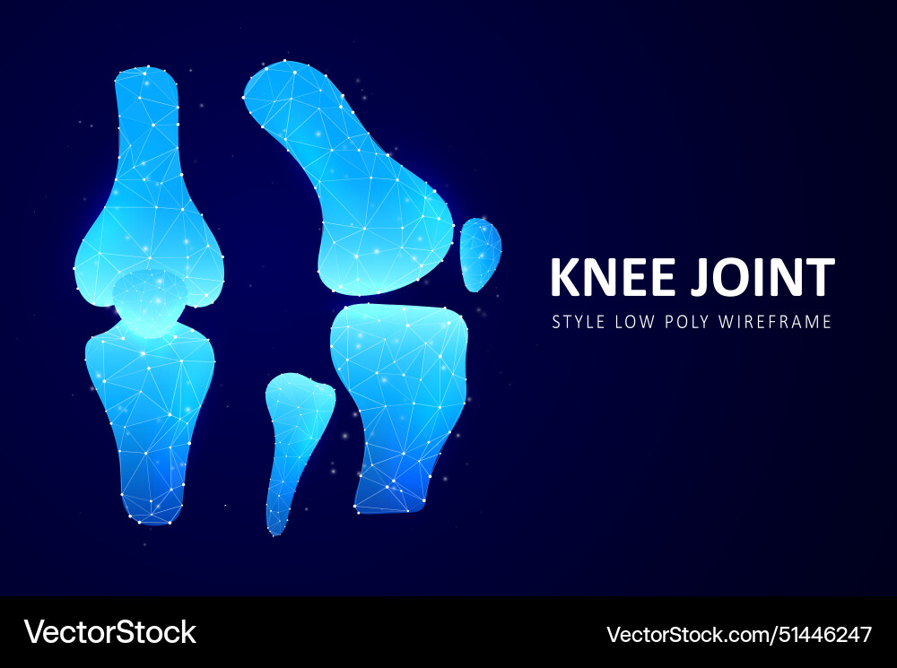 Abstract polygonal knee-joint Royalty Free Vector Image