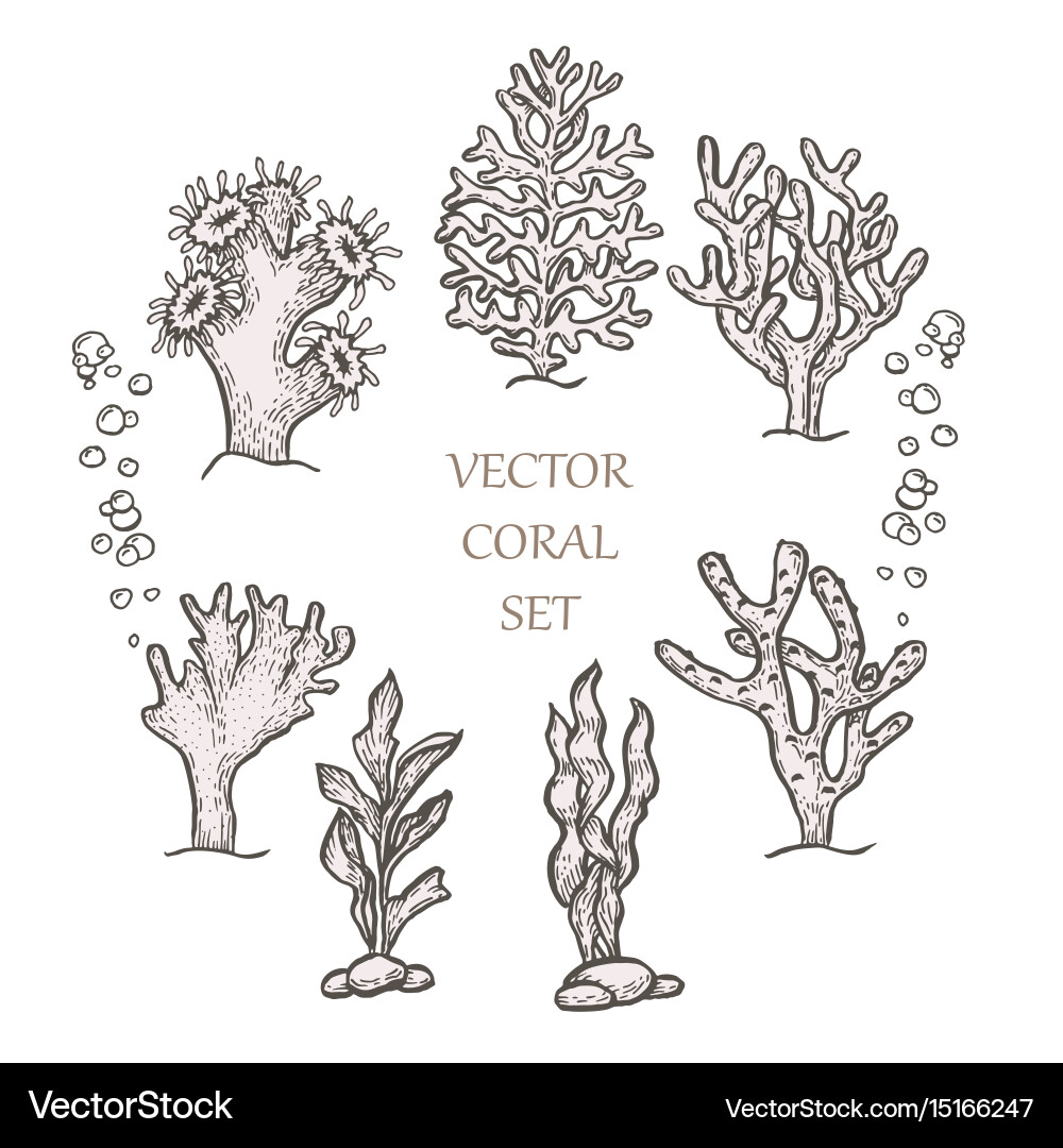 Hand drawn aquatic coral doodle Royalty Free Vector Image