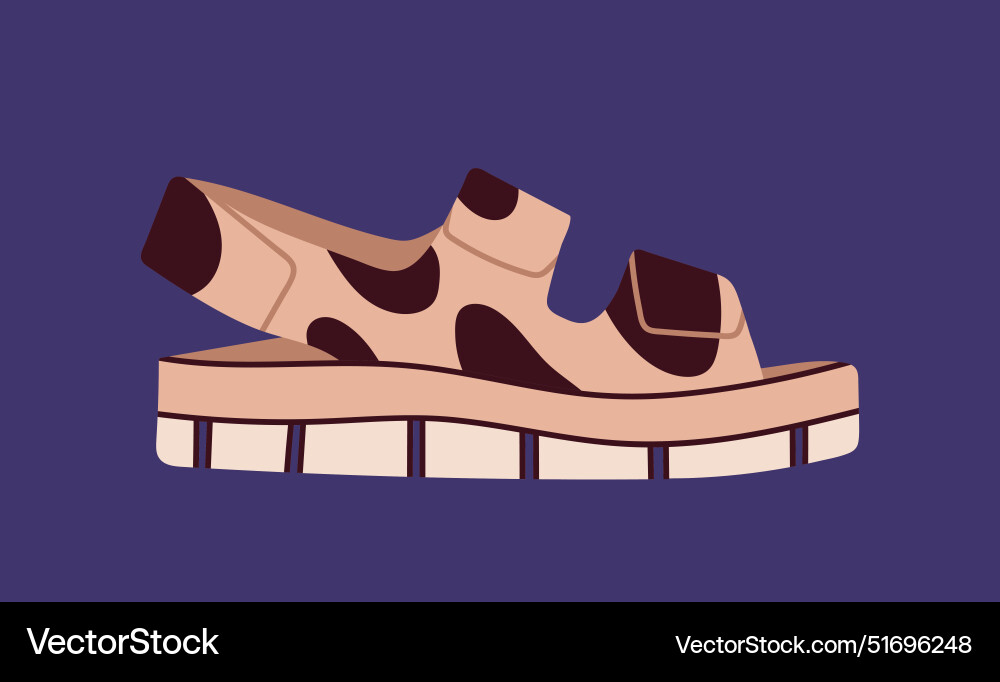Fashionable footwear concept Royalty Free Vector Image