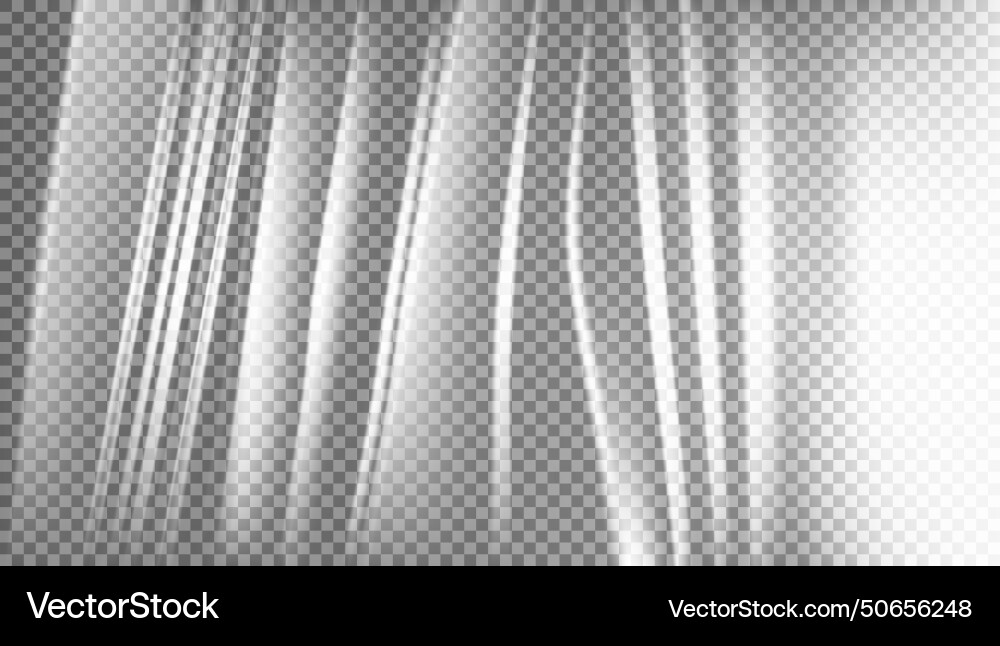 Transparent light black and white plastic warp Vector Image