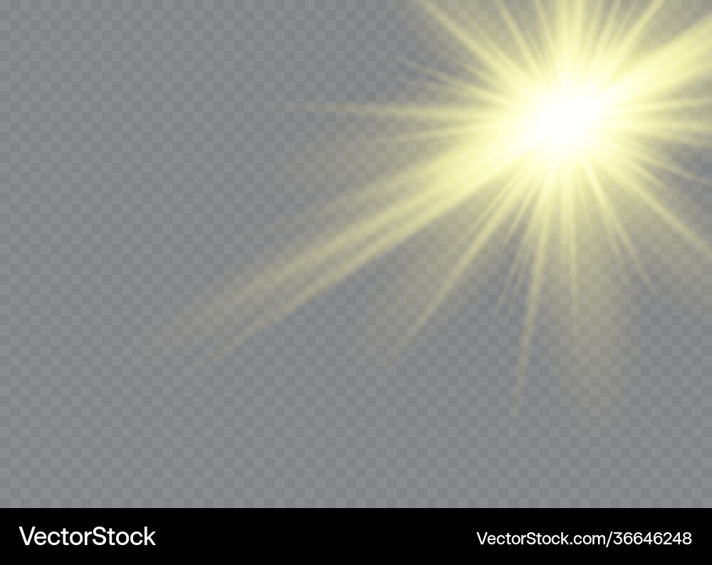 Transparent sunlight special lens flash Royalty Free Vector