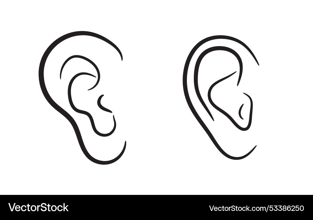 Human ear anatomical icon listen sign Royalty Free Vector
