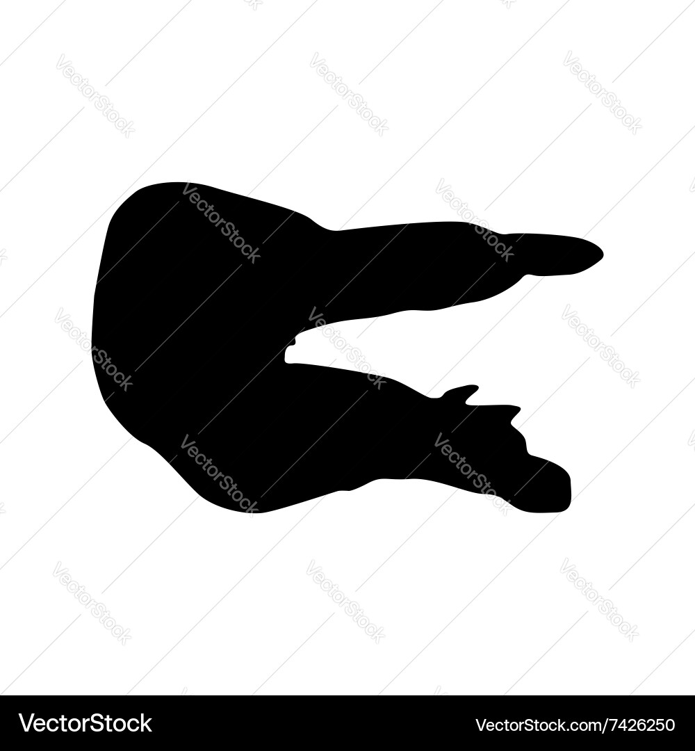 People silhouette view from above Royalty Free Vector Image