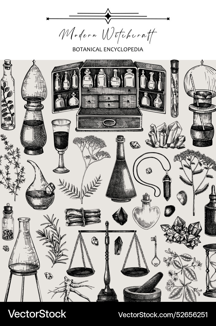 Antique apothecary frame hand-drawn alche Vector Image