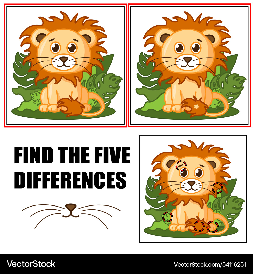Find differences education game for children Vector Image