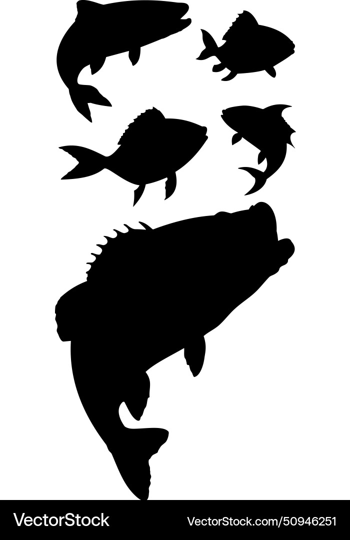Fish Royalty Free Vector Image - VectorStock