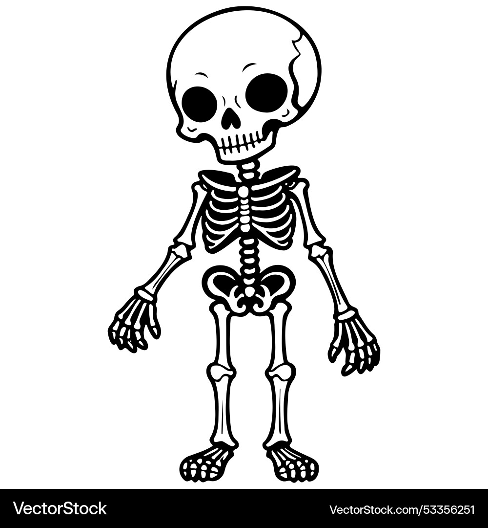 Line cartoon skeleton drawing vintage line image Vector Image