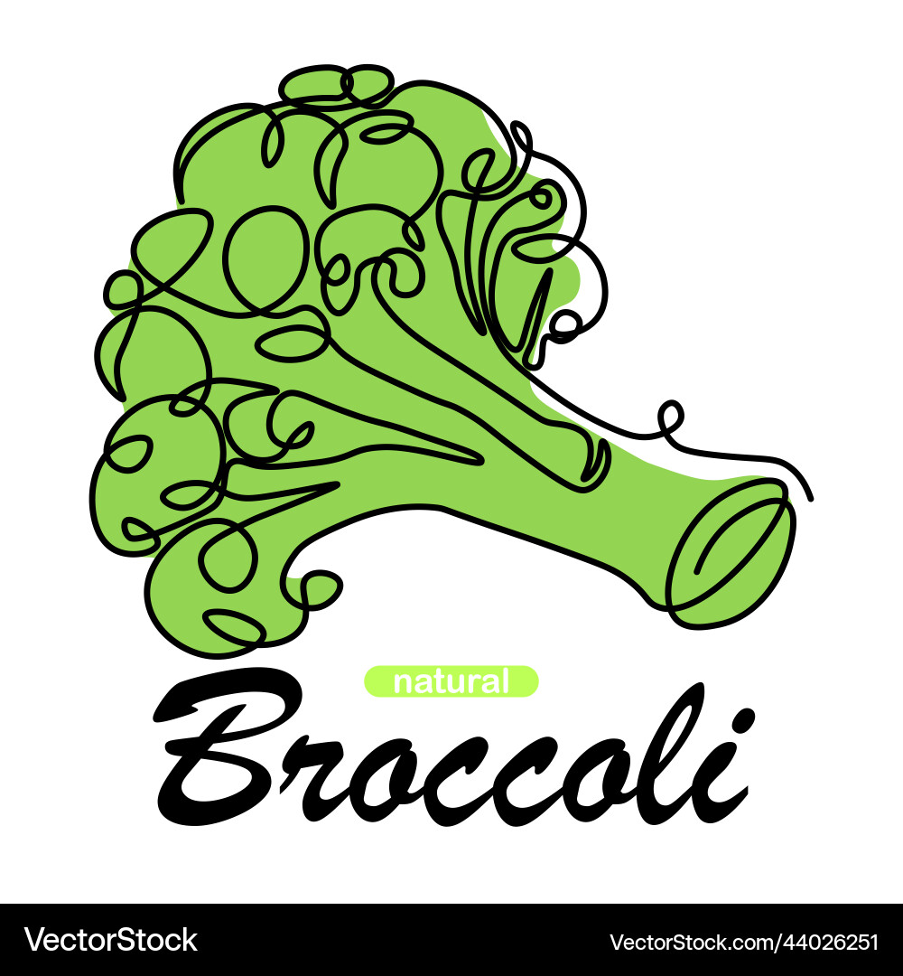 One line vegetable green broccoli natural plant Vector Image