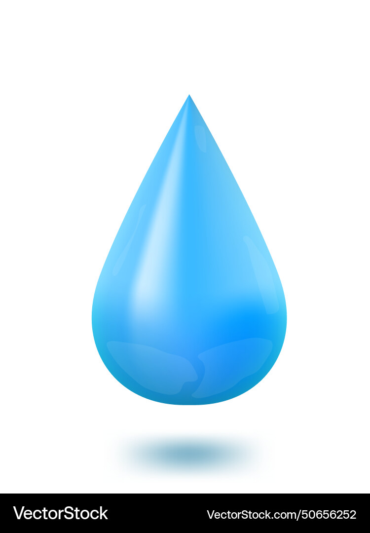 3d realistic water drop isolated on white Vector Image