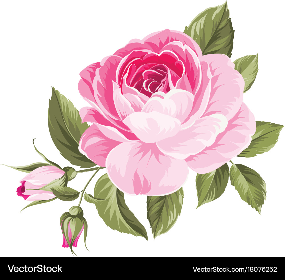 Background with roses Royalty Free Vector Image