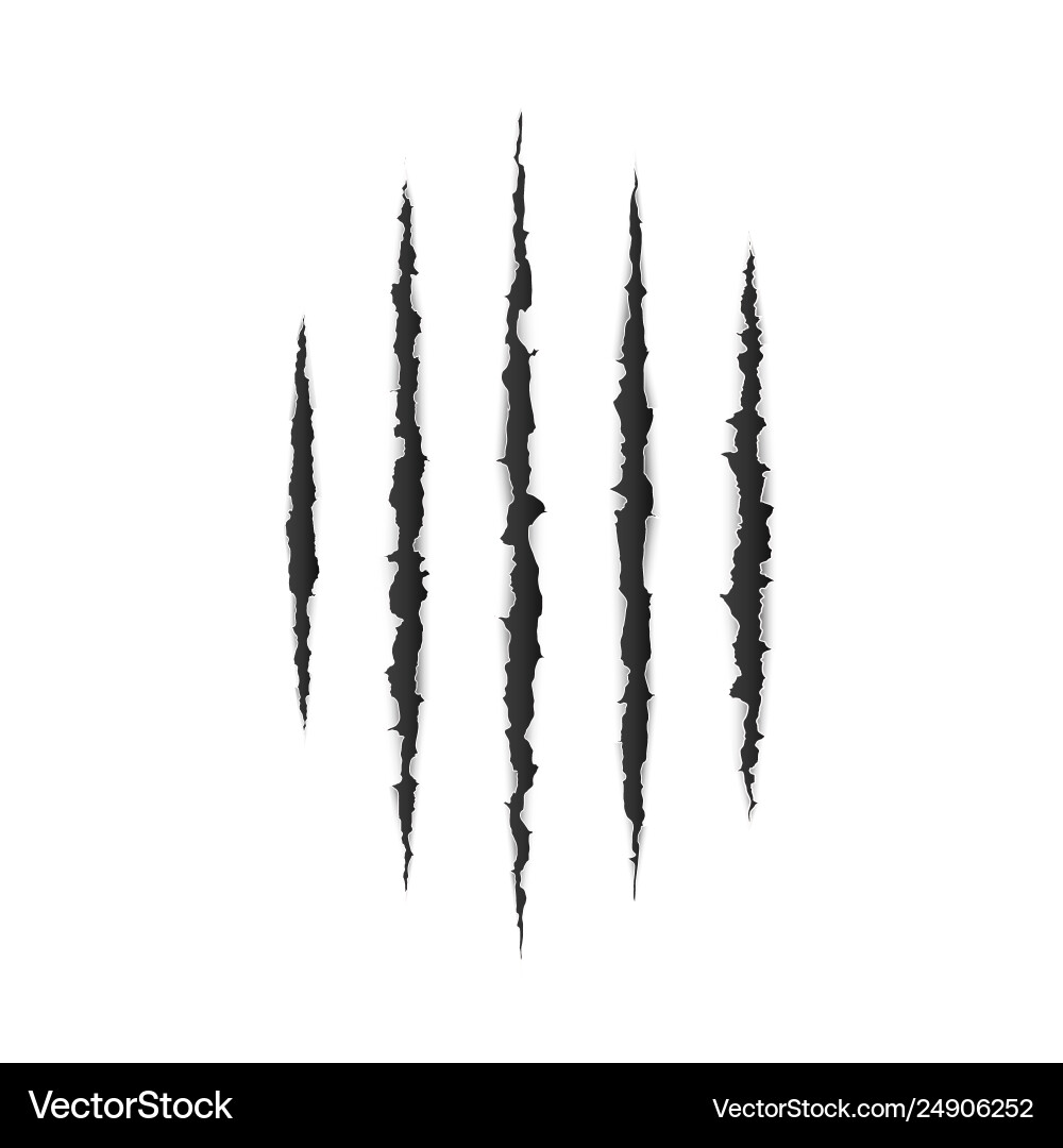 Scary Torn Paper Rips Royalty Free Vector Image