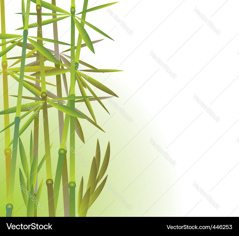 Bamboo forest Royalty Free Vector Image - VectorStock