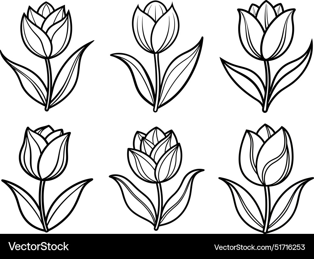 Hand drawn tulip outline set Royalty Free Vector Image