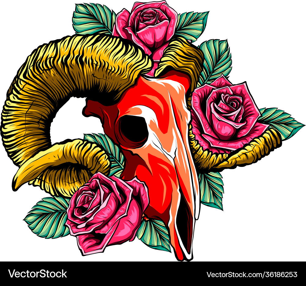 Lamb Skull Vector Images (over 100)