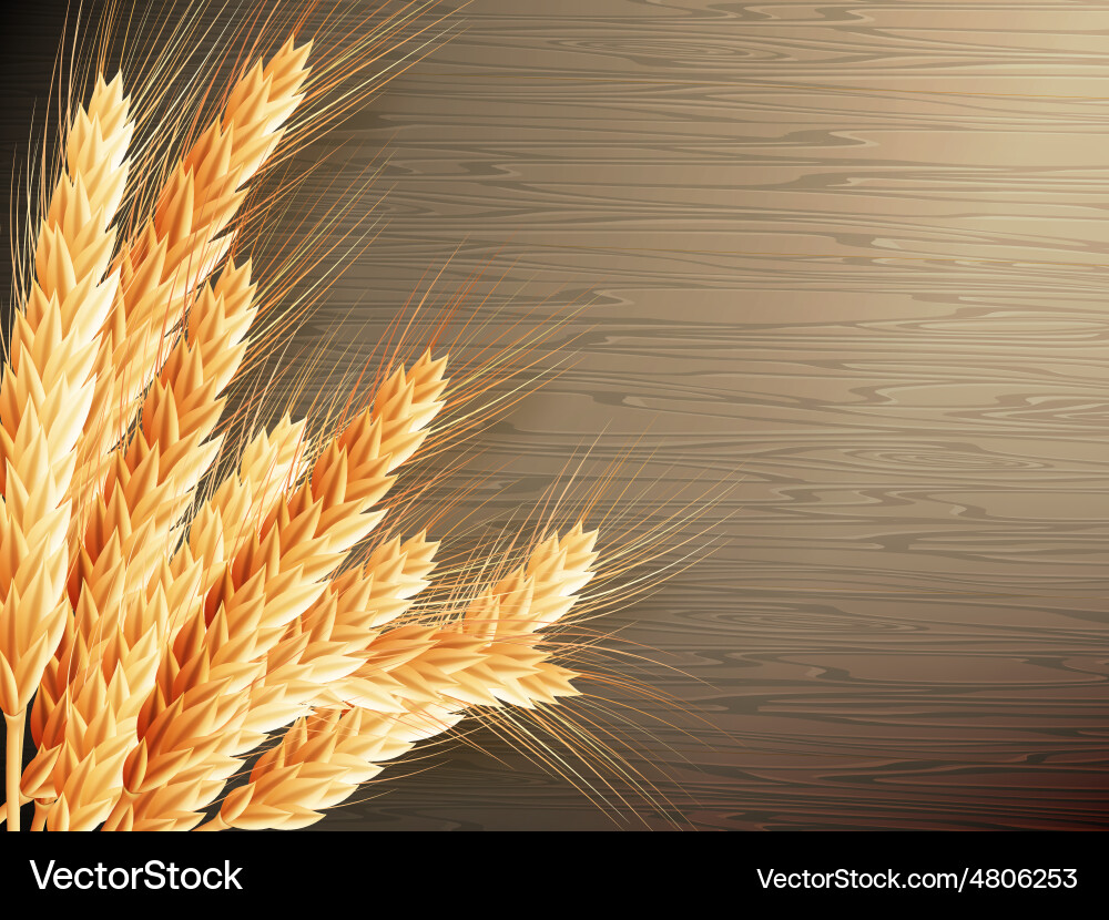 Wheat on wooden background eps 10 Royalty Free Vector Image