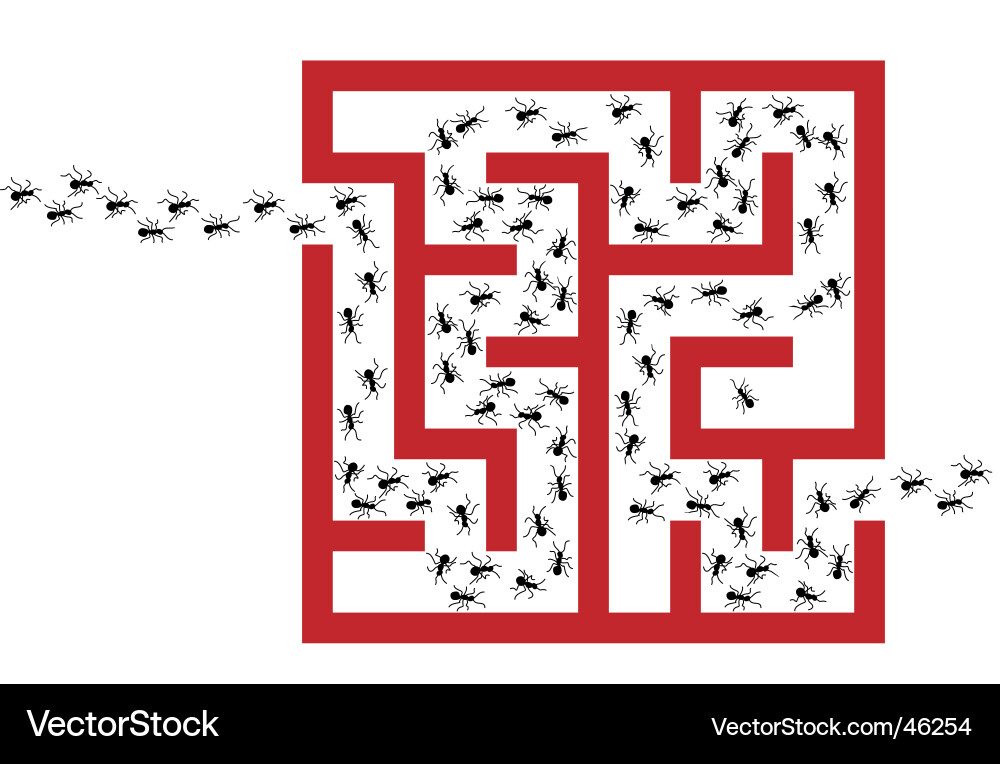 Ant infestation Royalty Free Vector Image - VectorStock