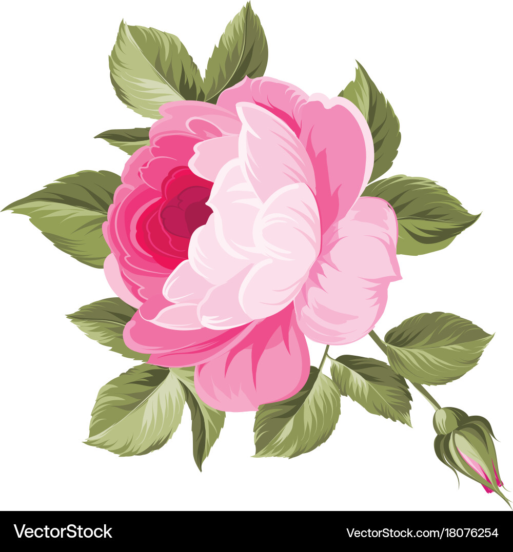 Background with roses Royalty Free Vector Image