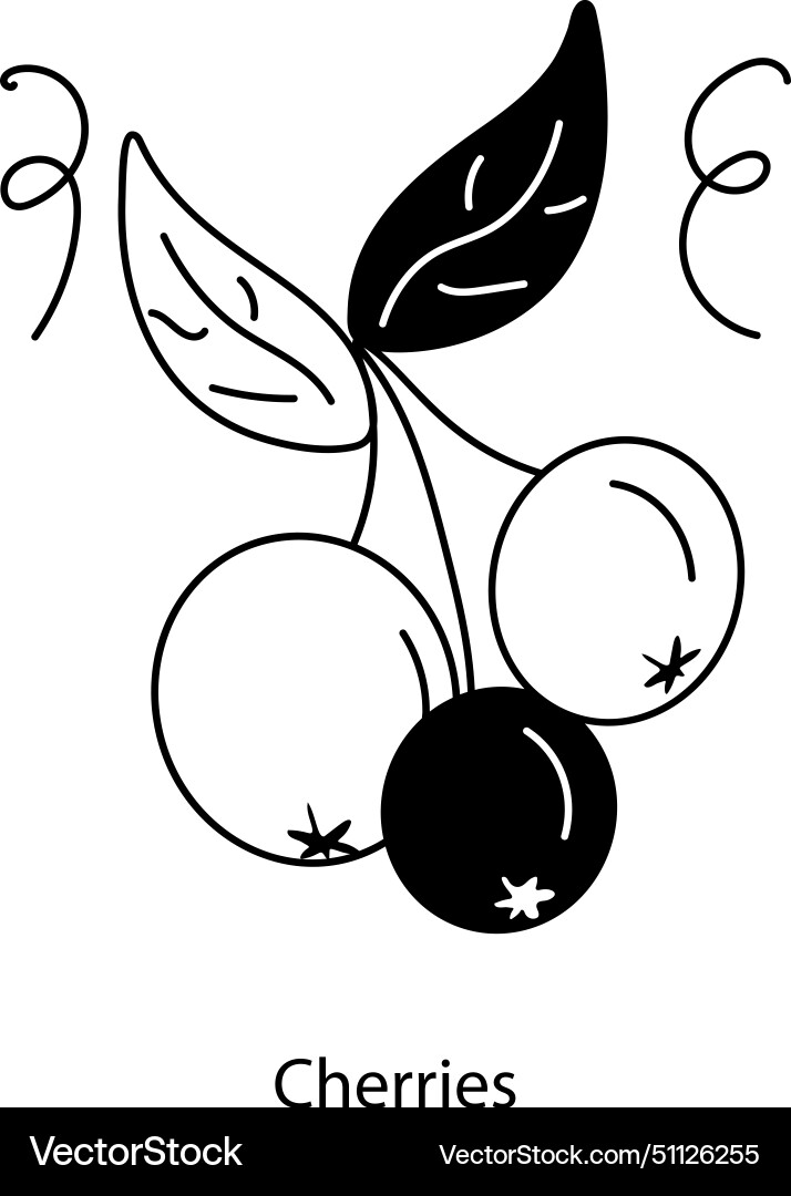 Cherries Royalty Free Vector Image - VectorStock