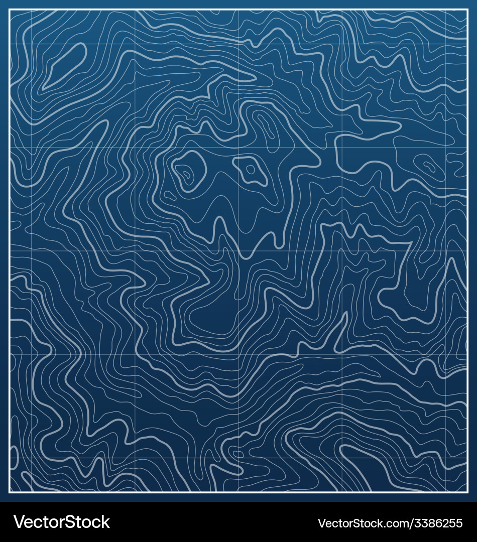 Topographic map Royalty Free Vector Image - VectorStock