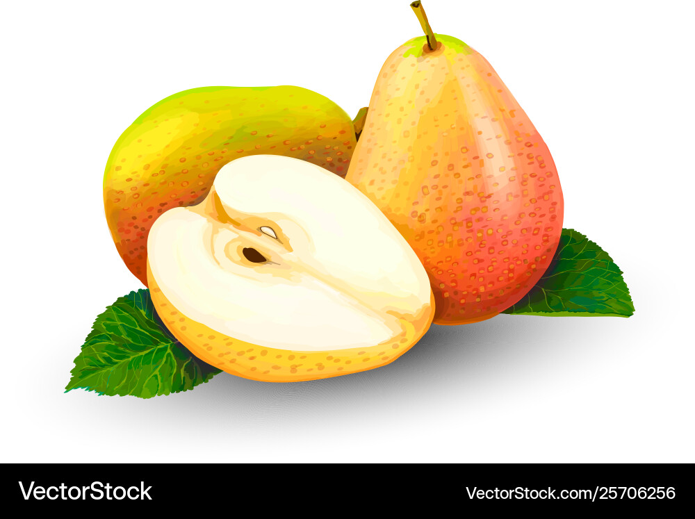 Pear whole and slices sweet fruit on a white Vector Image