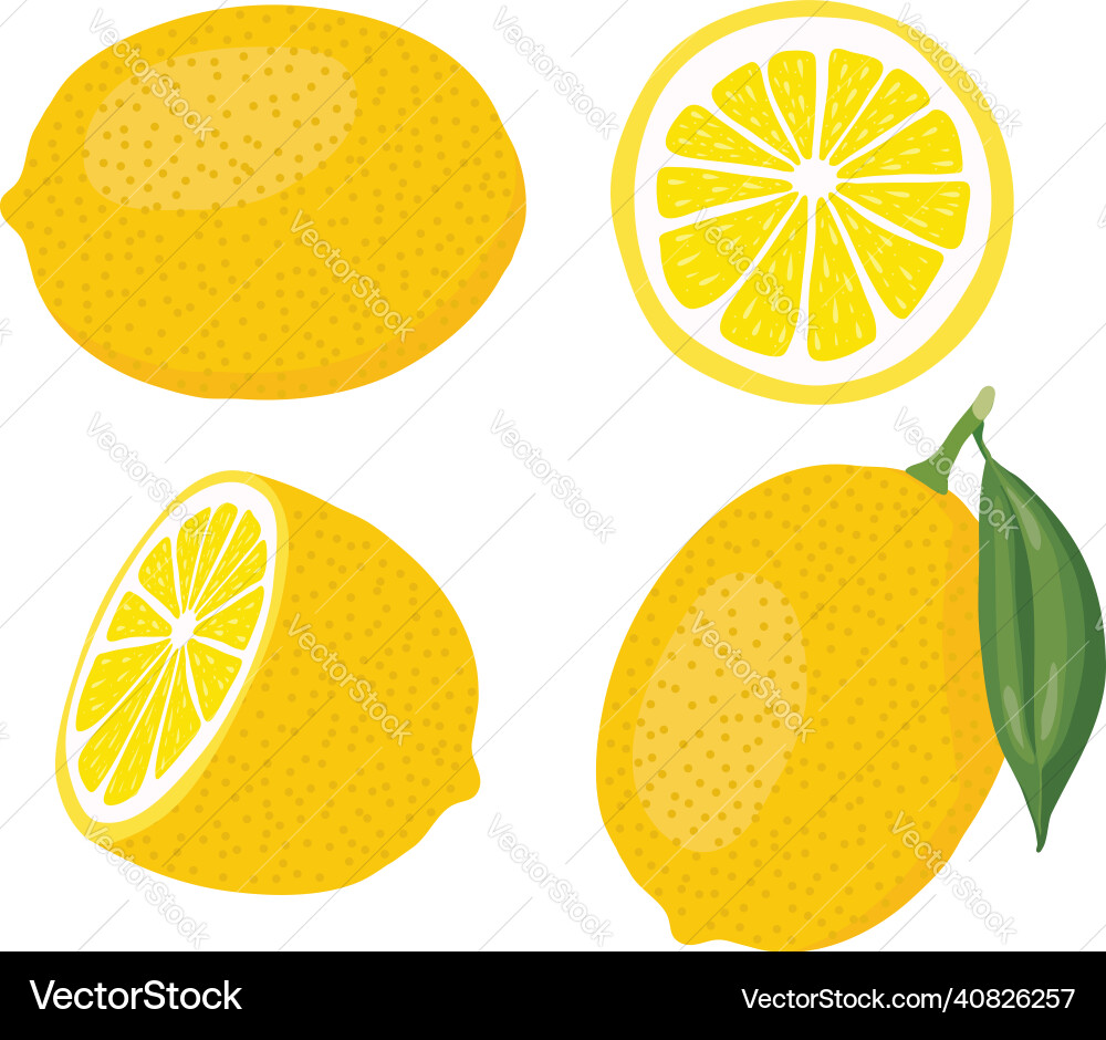 Lemon set Royalty Free Vector Image - VectorStock