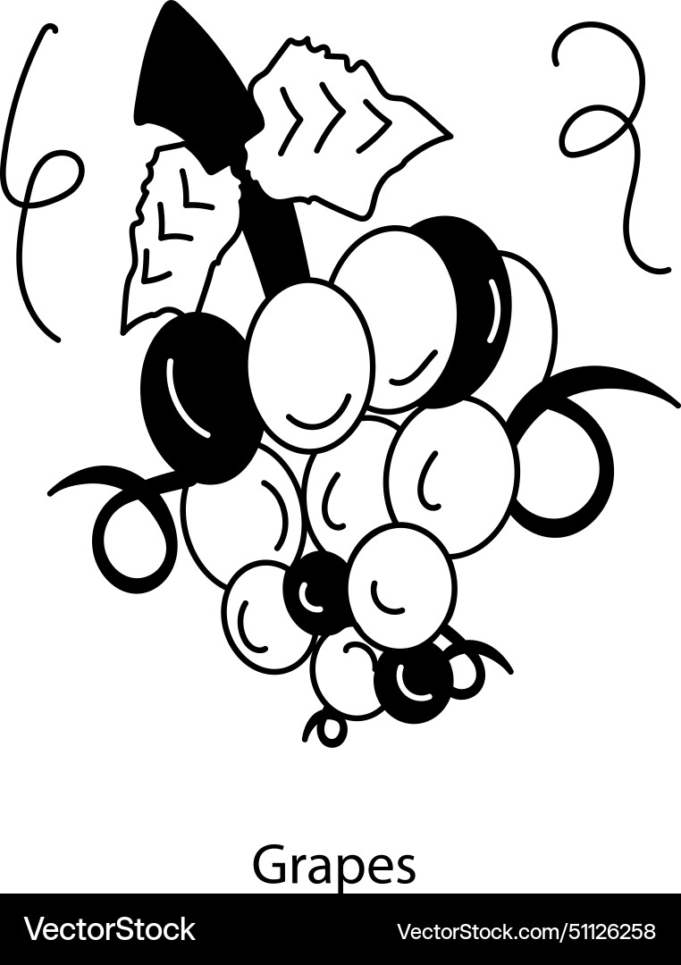 Grapes Royalty Free Vector Image - VectorStock