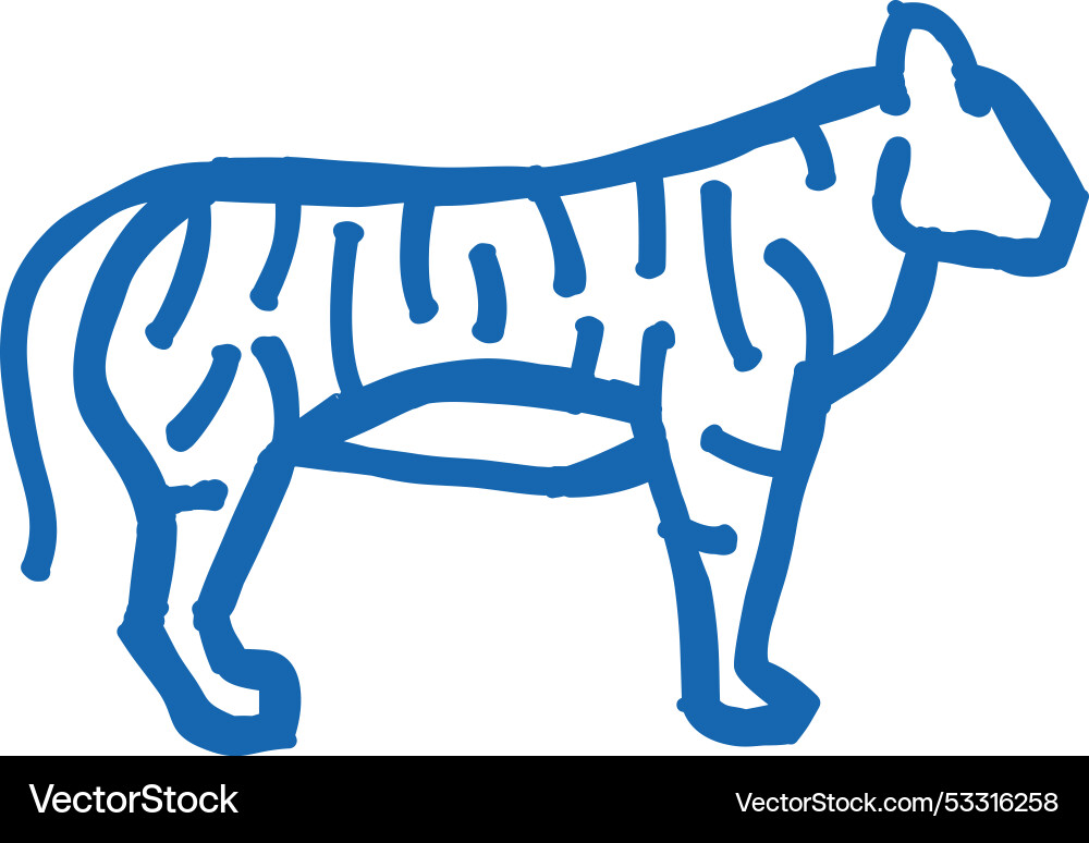 Tiger animal icon doodle Royalty Free Vector Image
