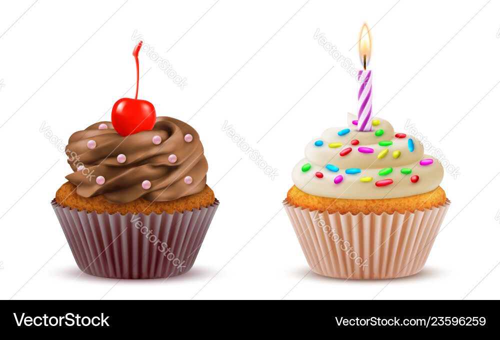Realistic Cupcake Set Royalty Free Vector Image