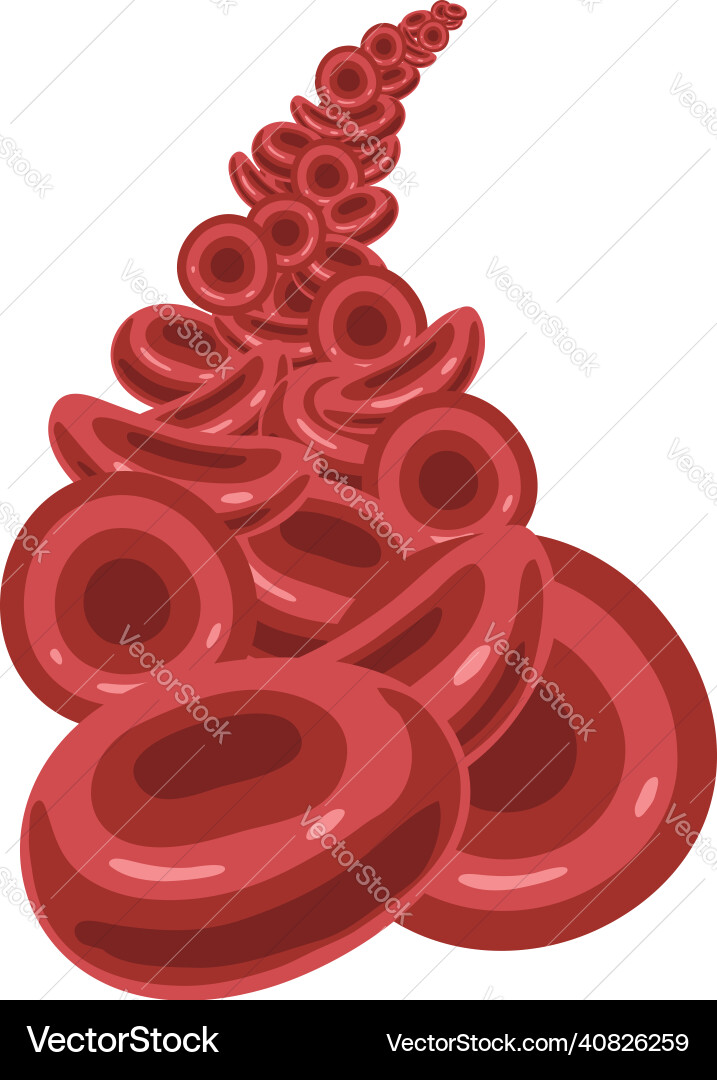 Red blood cells Royalty Free Vector Image - VectorStock